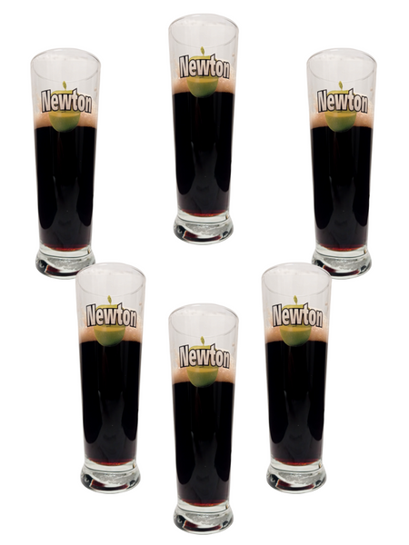 Newton Pinta Caja 5+1 250 ml – La Belga